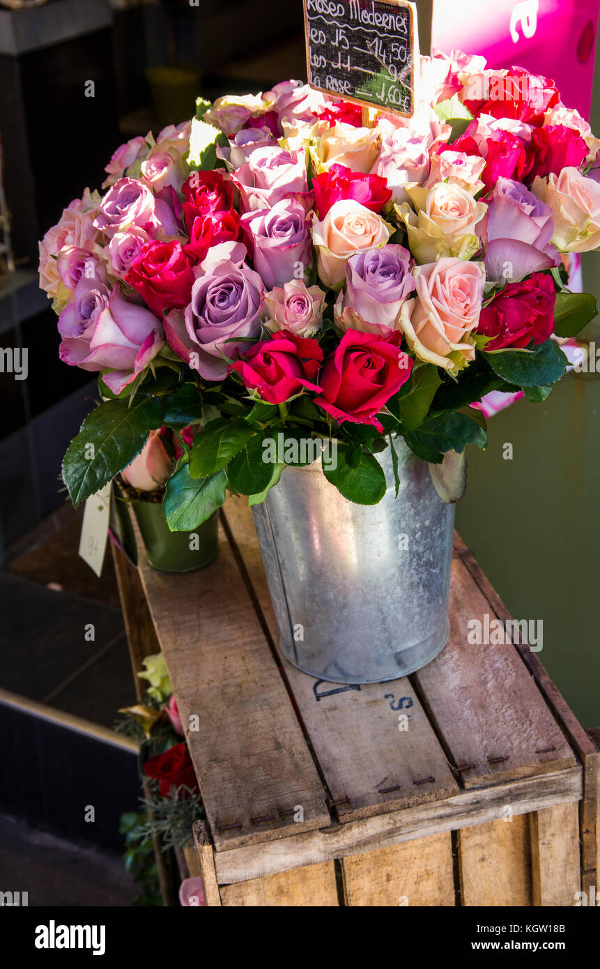Volle rosen -Fotos und -Bildmaterial in hoher Auflösung – Alamy