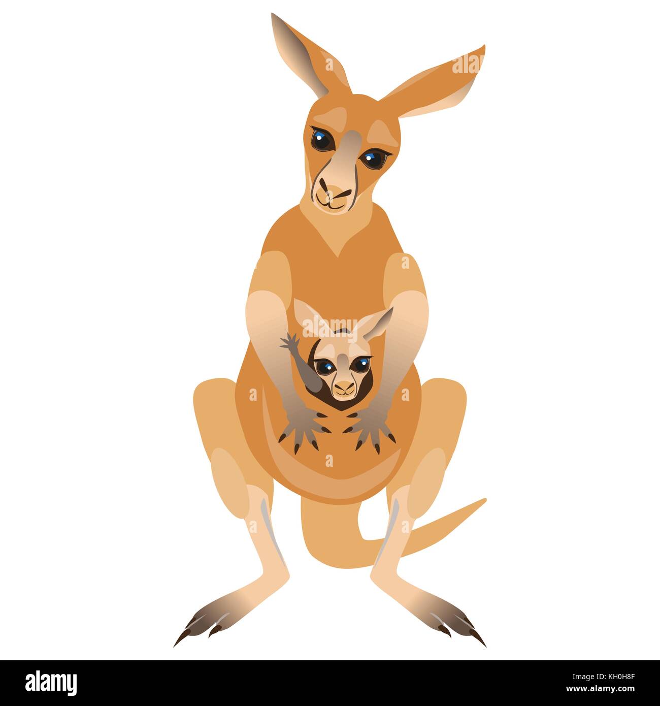 Cartoon baby kangaroo -Fotos und -Bildmaterial in hoher Auflösung – Alamy