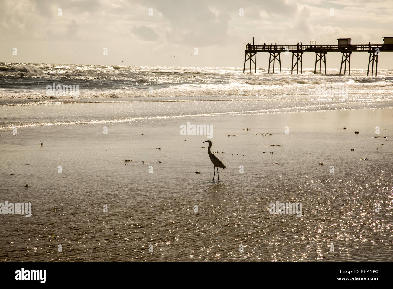 Daytona beach promenade und pier -Fotos und -Bildmaterial in hoher ...