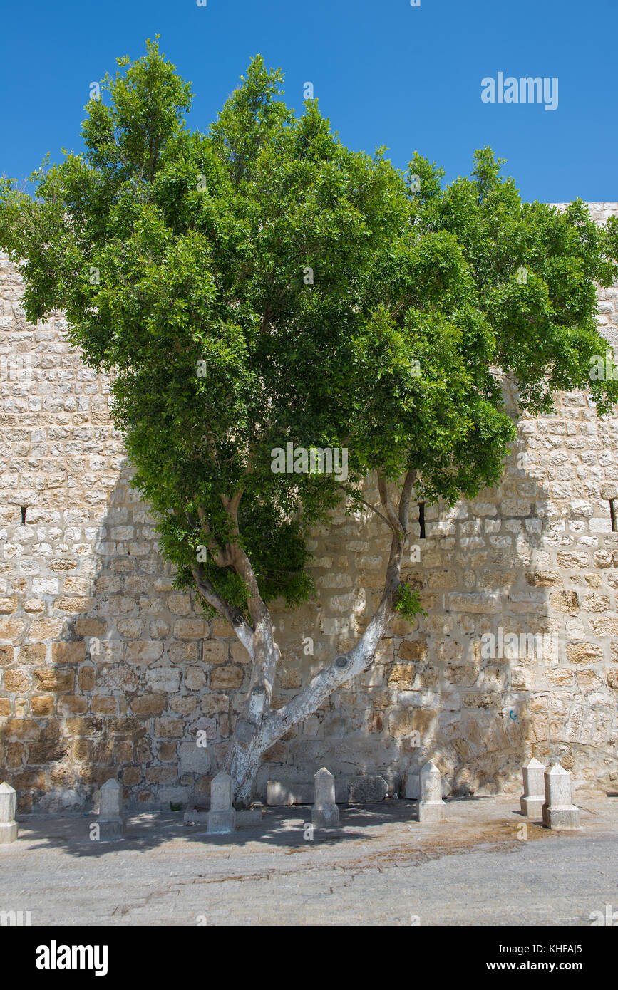 Bethlehem christus heilig Stockfotos und -bilder Kaufen - Alamy