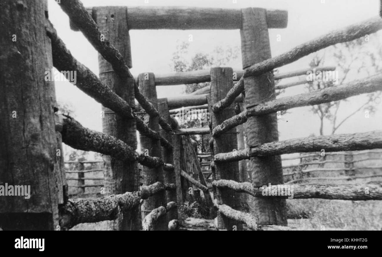 Sheep dip -Fotos und -Bildmaterial in hoher Auflösung – Alamy