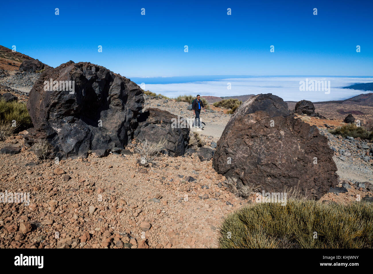 Teide eier -Fotos und -Bildmaterial in hoher Auflösung – Alamy
