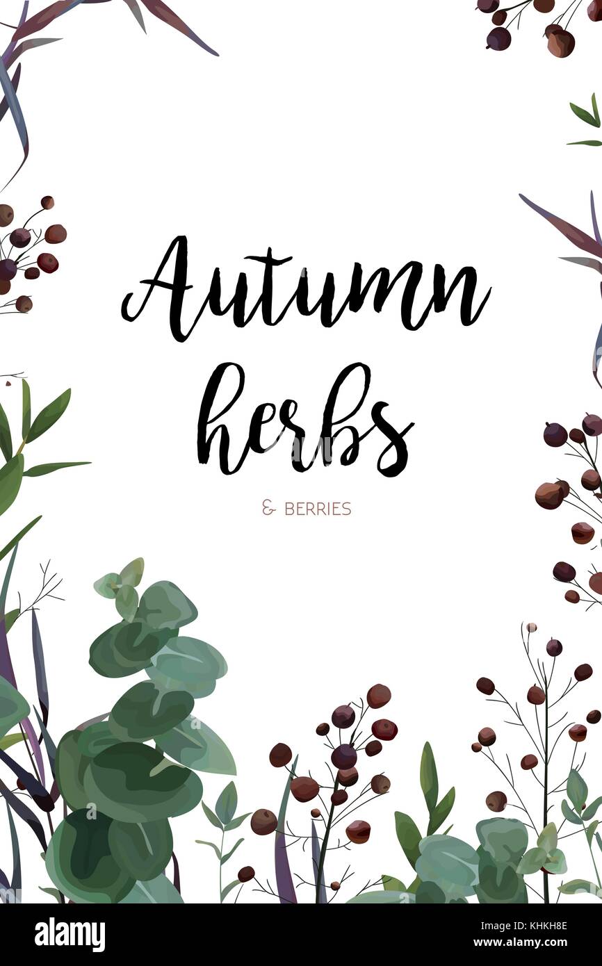 Vektor Blumen Aquarell Stil card Design: Eukalyptus gesäte Grün ...