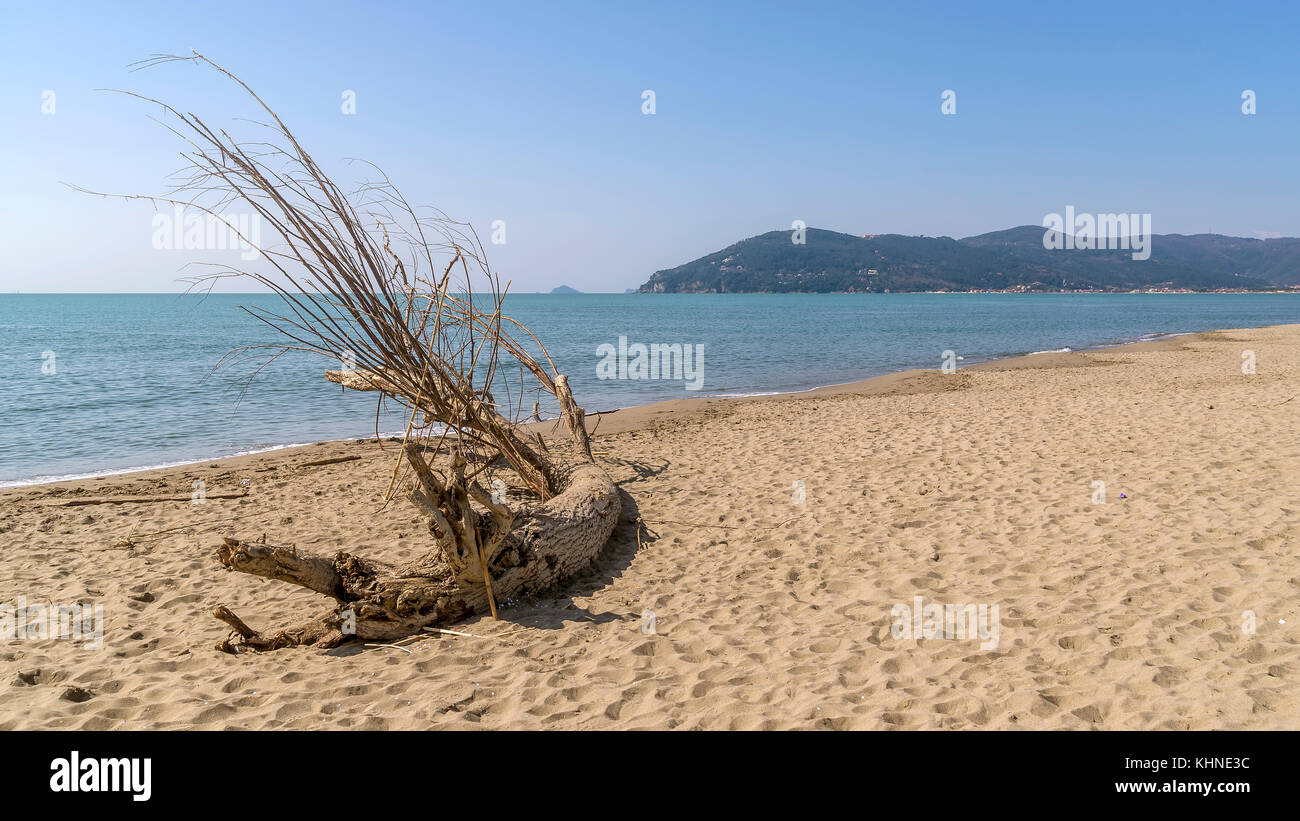 Marina di carrara -Fotos und -Bildmaterial in hoher Auflösung – Alamy