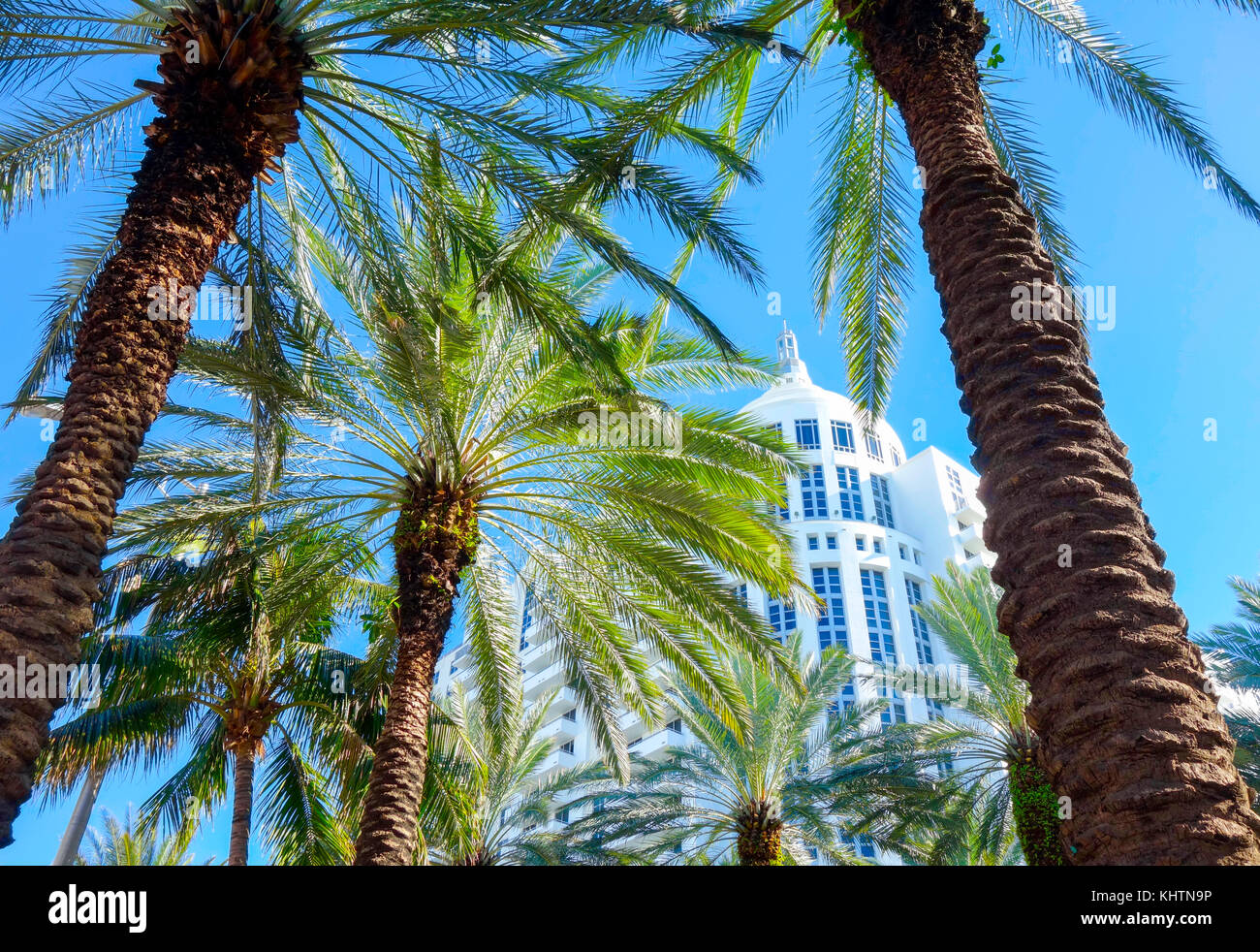 Hotel faena miami -Fotos und -Bildmaterial in hoher Auflösung – Alamy