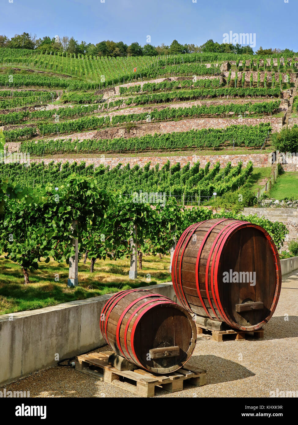 Radebeuler weinberge -Fotos und -Bildmaterial in hoher Auflösung – Alamy