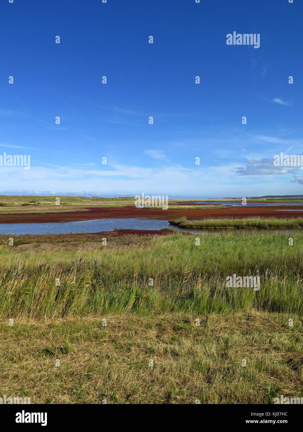 Marschland lehm -Fotos und -Bildmaterial in hoher Auflösung – Alamy