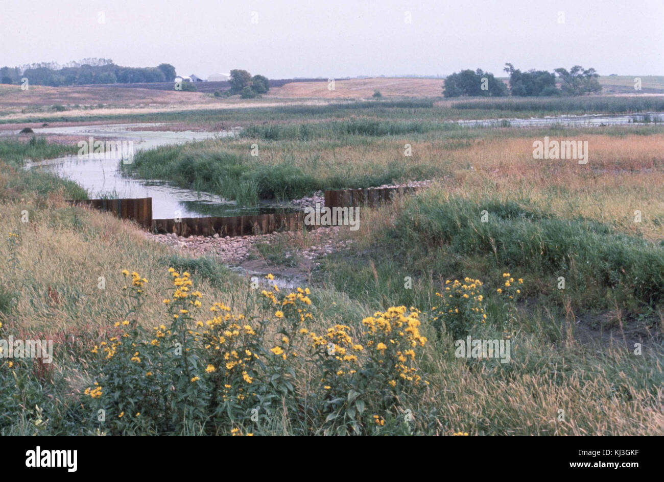 Wehr wasser -Fotos und -Bildmaterial in hoher Auflösung – Alamy