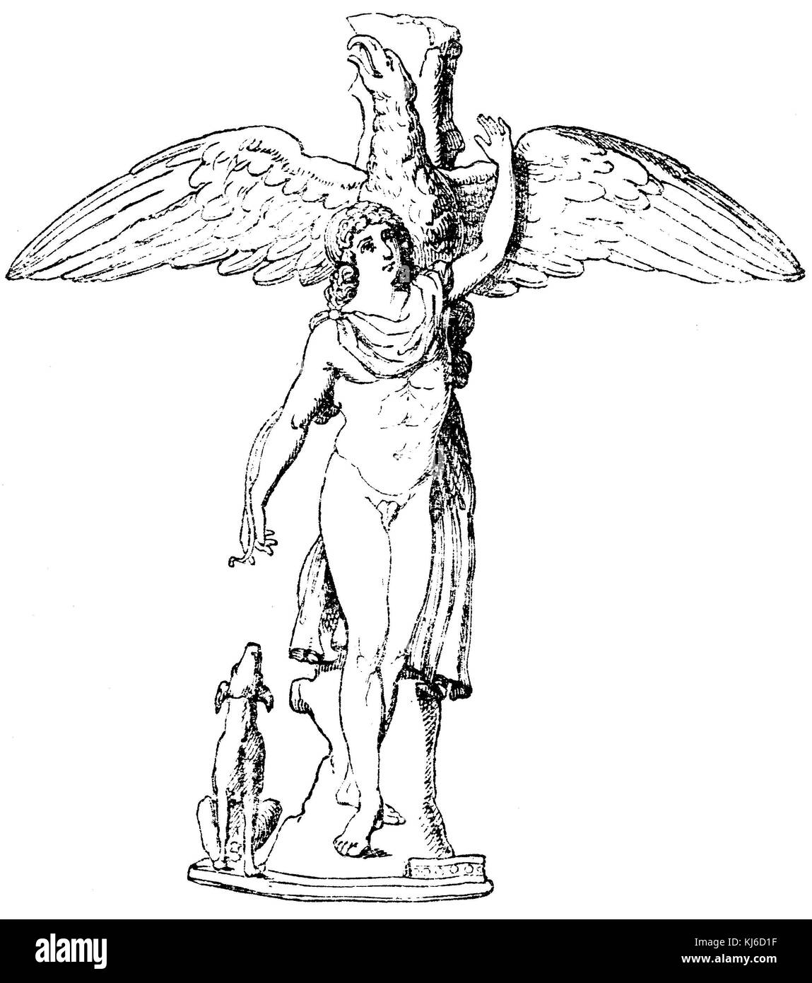 Ganymede eagle -Fotos und -Bildmaterial in hoher Auflösung – Alamy