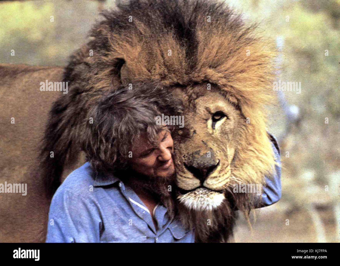 Mann mit lowe -Fotos und -Bildmaterial in hoher Auflösung – Alamy