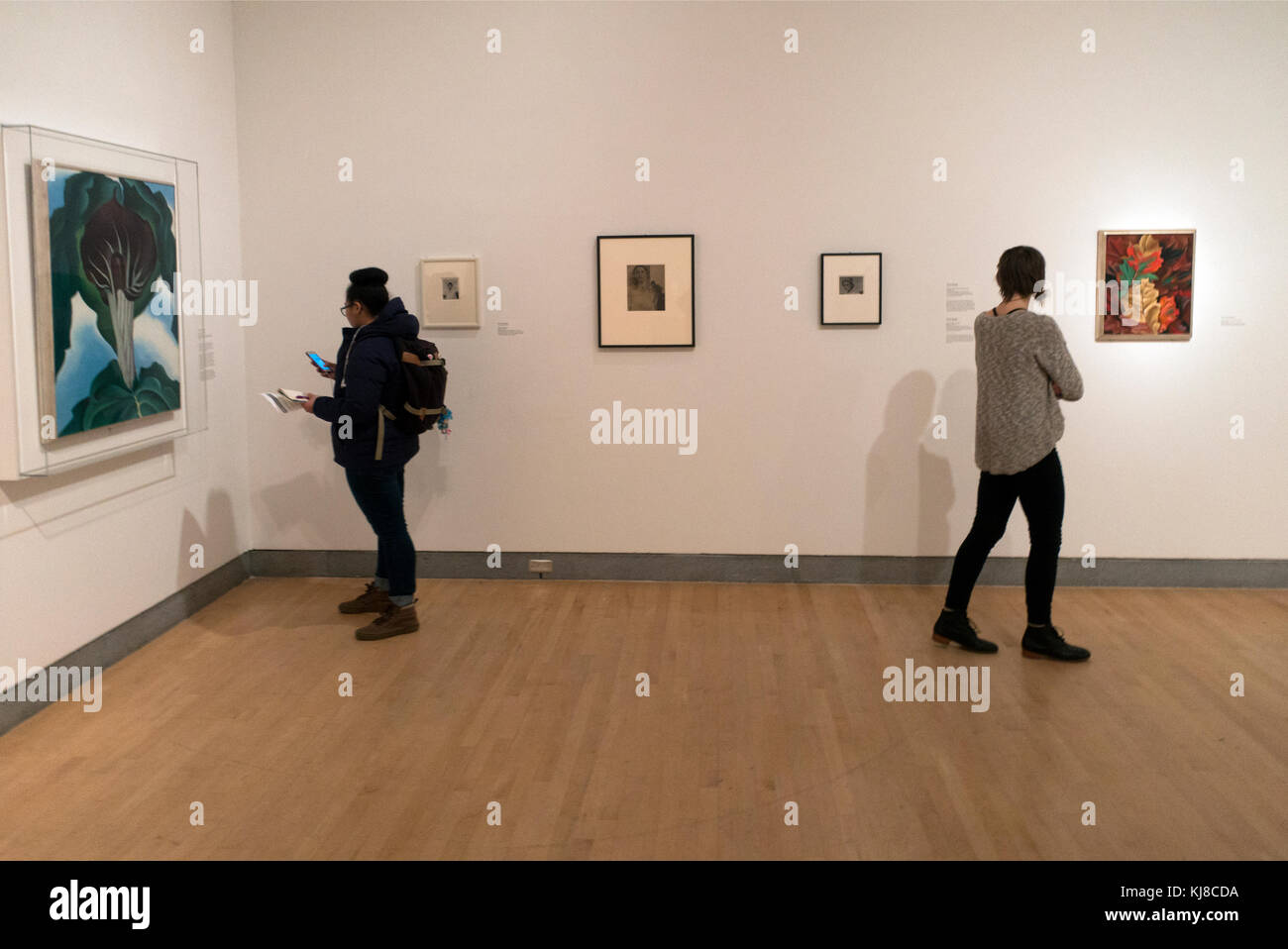 Maler Georgia Okeeffe Stockfotos und -bilder Kaufen - Alamy