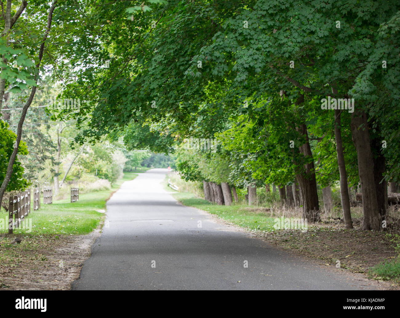 Weg mit langem gras an der seite -Fotos und -Bildmaterial in hoher ...