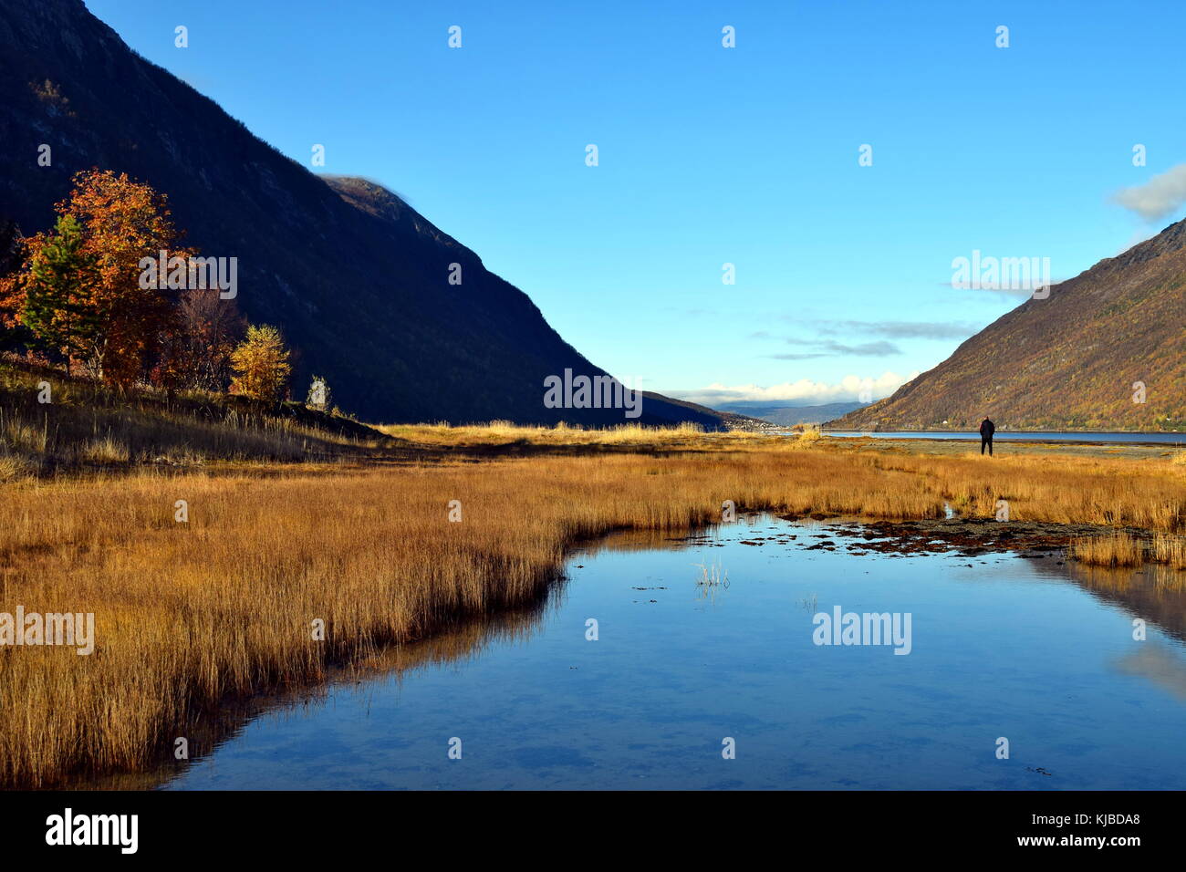 Narvik Norway Stockfotos und -bilder Kaufen - Alamy