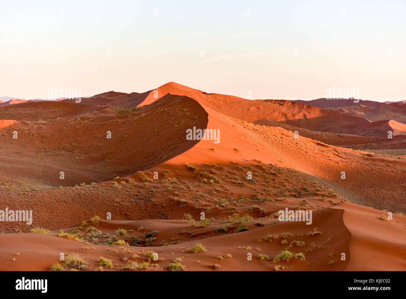 Luftaufnahme von hohen roten Sanddünen in der Namib Wüste, in der namib ...