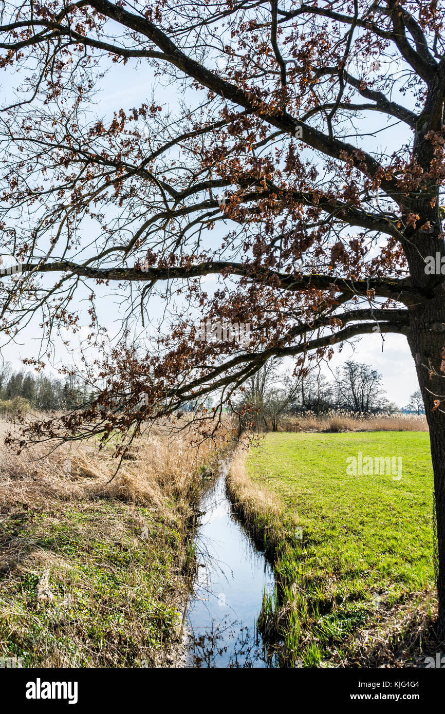 Amper River Stockfotos und -bilder Kaufen - Alamy