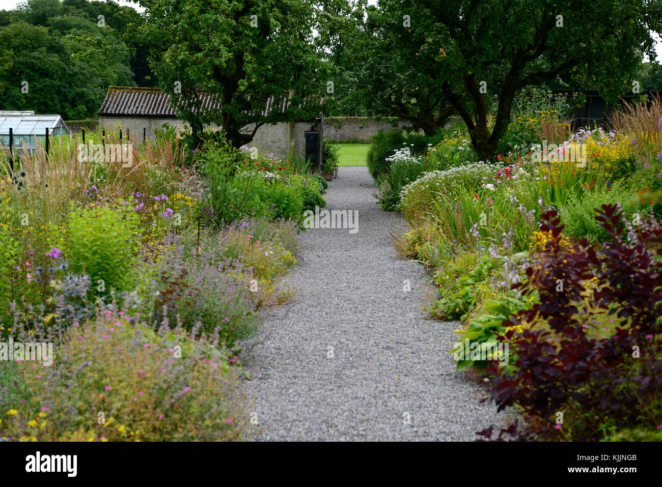 RHSI Russborough, ummauerten Garten, Garten, Pfad, mehrjährig, bett ...