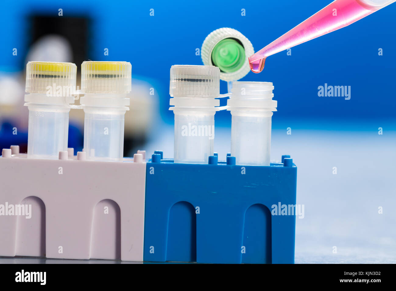 Identifizierung von pathogenen Mikroben und Viren Stockfotografie - Alamy