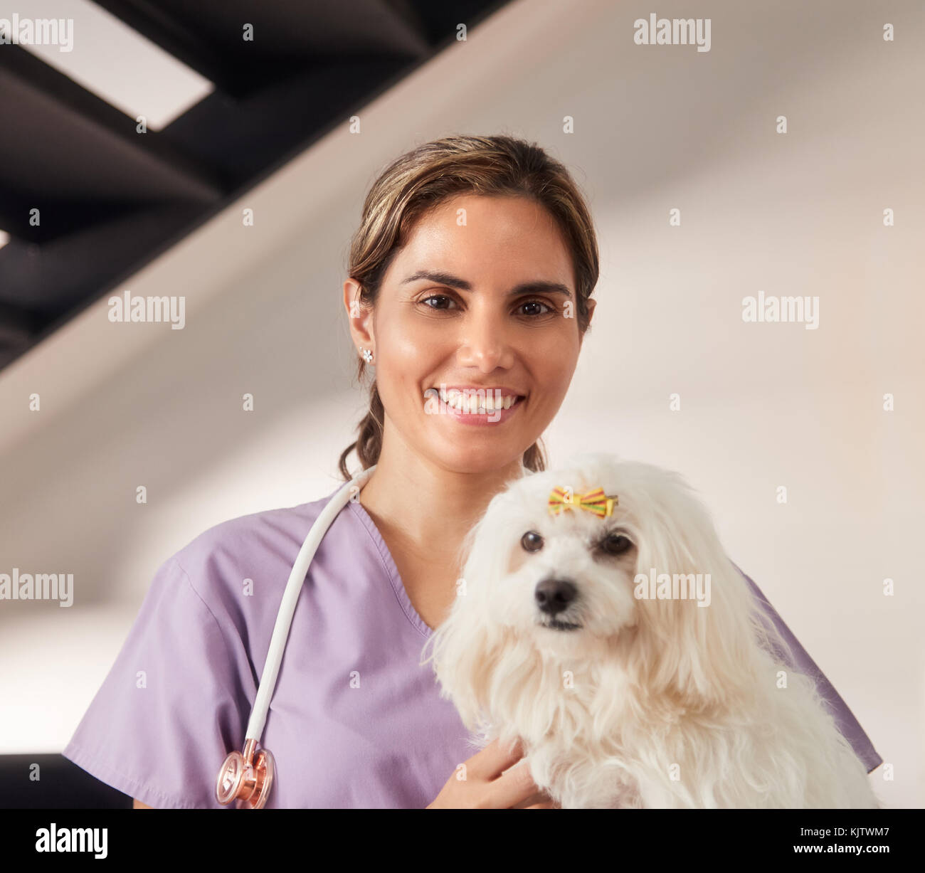 Sick Animal Stockfotos und -bilder Kaufen - Alamy
