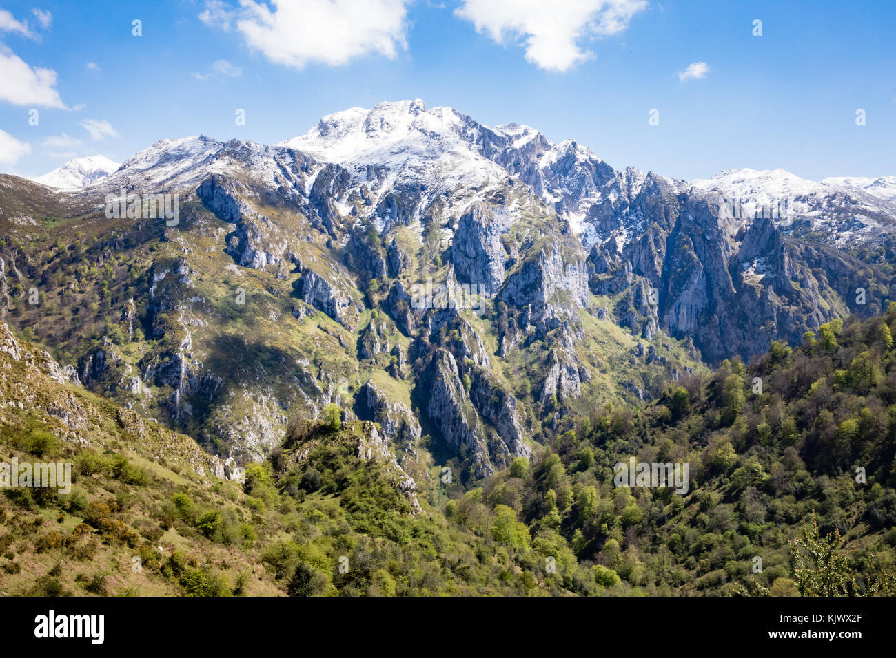 Collau los buitres -Fotos und -Bildmaterial in hoher Auflösung – Alamy