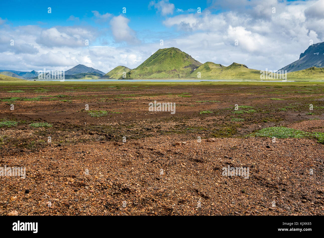 Felsen Flechten Berg Gras Stockfotos und -bilder Kaufen - Alamy