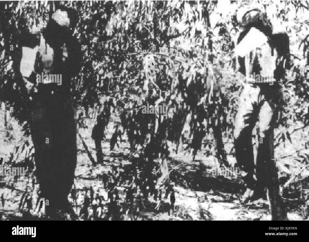 Struktur der todesstrafe Schwarzweiß-Stockfotos und -bilder - Alamy
