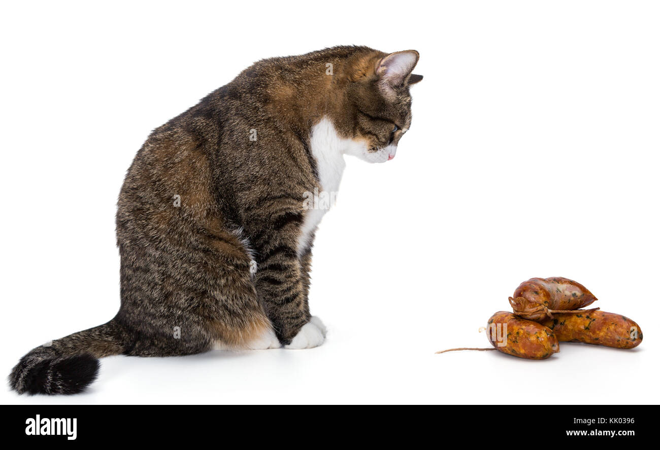 Fleisch haar mahlzeit Ausgeschnittene Stockfotos und -bilder - Alamy