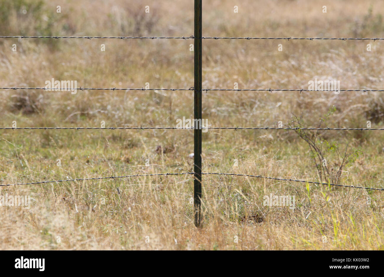 Barbed wired fence -Fotos und -Bildmaterial in hoher Auflösung – Alamy