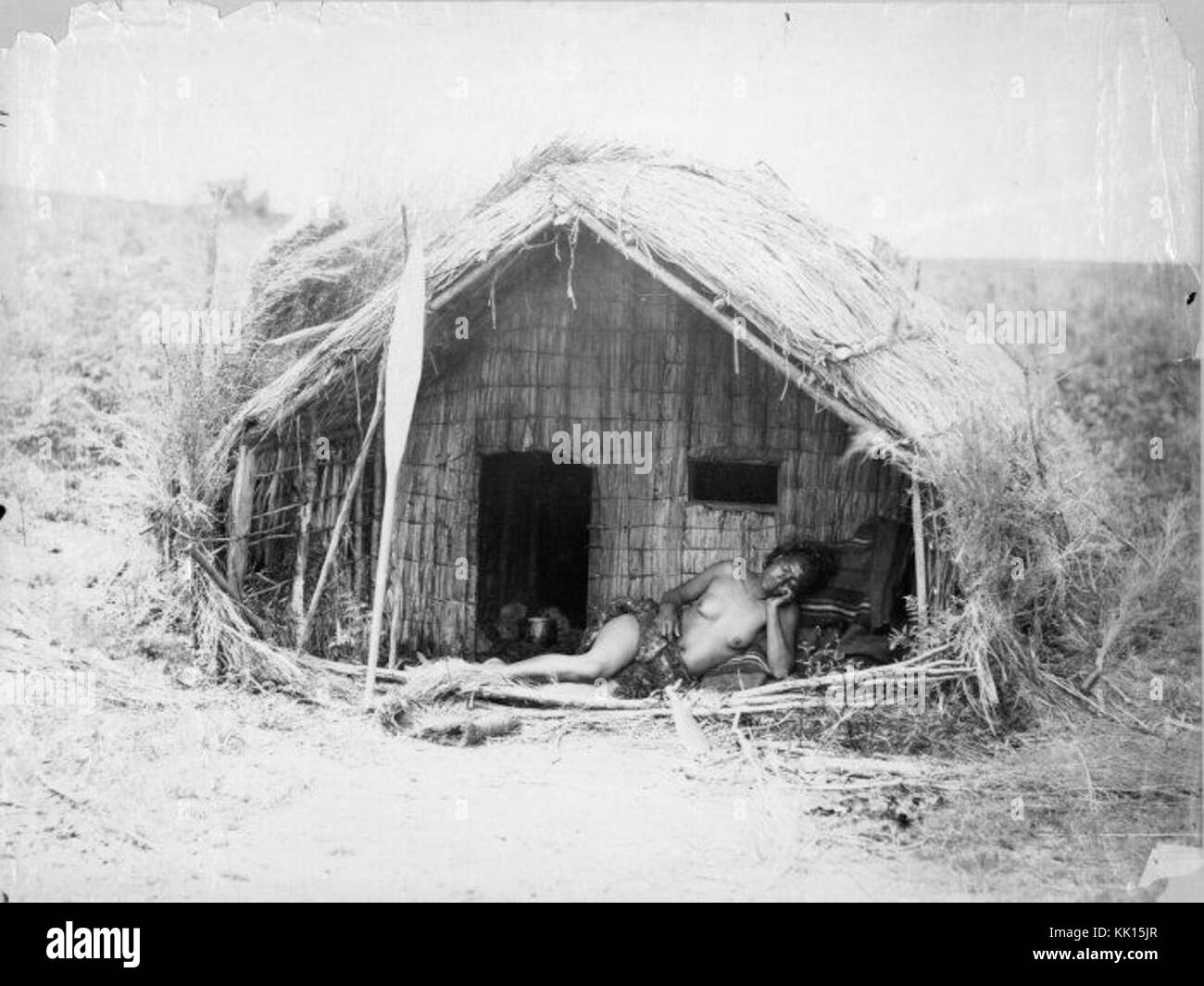 Te raukura -Fotos und -Bildmaterial in hoher Auflösung – Alamy