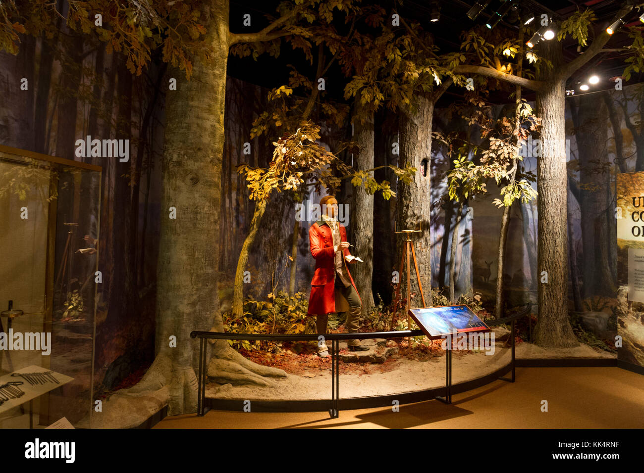 Museum diorama -Fotos und -Bildmaterial in hoher Auflösung – Alamy