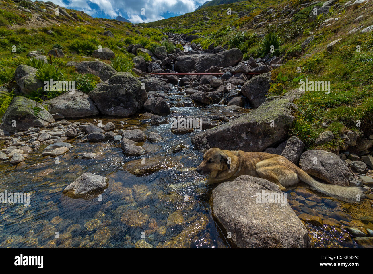 Querformat von kackar Berge oder einfach kackars, in den türkischen ...
