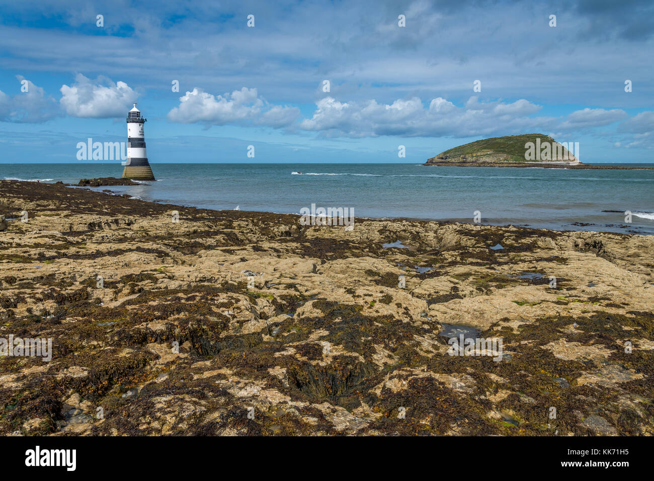 Penmon Leuchtturm und Papageitaucher Island, Penmon, Anglesey, North ...