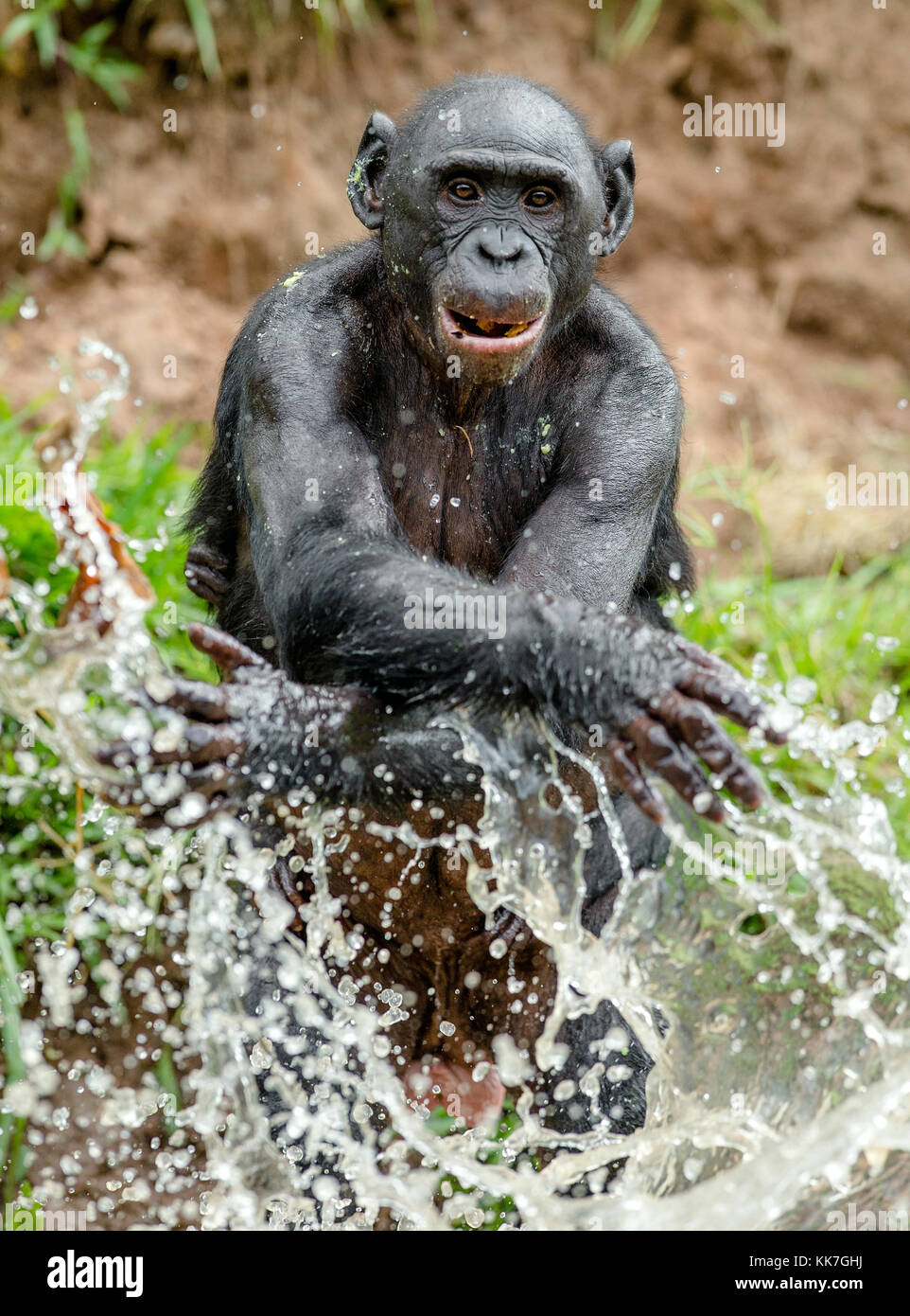 Zaire horizontal -Fotos und -Bildmaterial in hoher Auflösung – Alamy