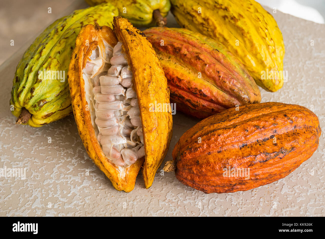 Open Cocoa Pod Stockfotos und -bilder Kaufen - Alamy