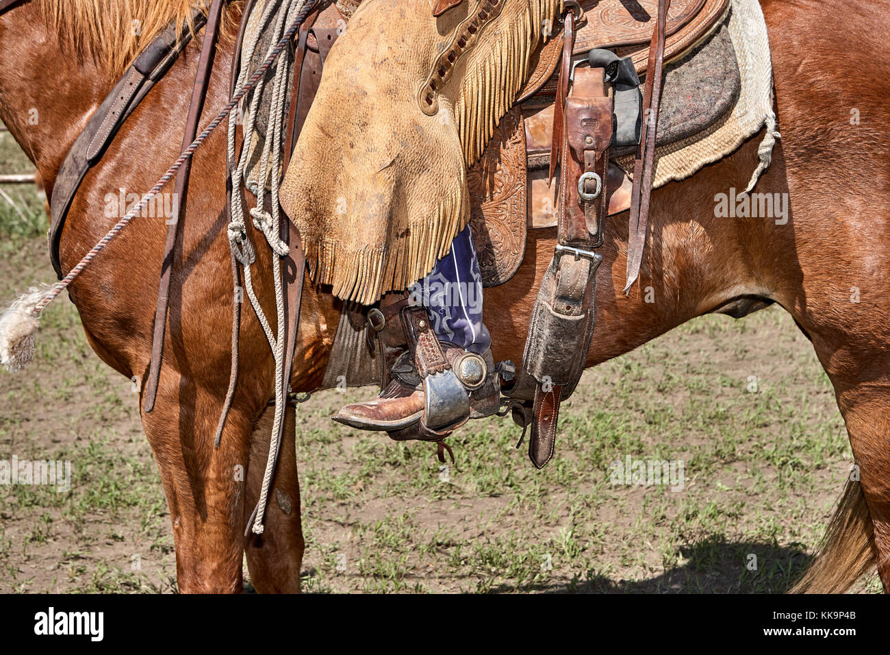 Beinstiefel sporen -Fotos und -Bildmaterial in hoher Auflösung – Alamy