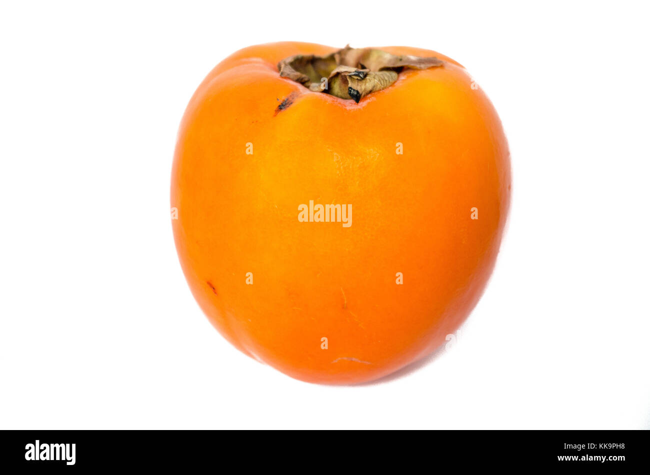 Kaki farbe Ausgeschnittene Stockfotos und -bilder - Alamy