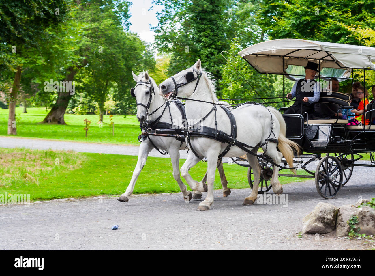 Pferd, das wagen irland zieht -Fotos und -Bildmaterial in hoher ...
