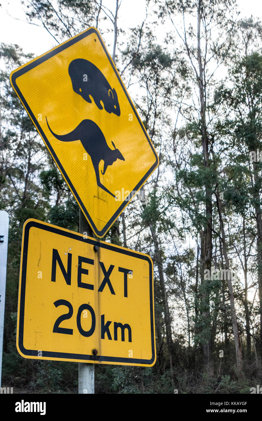 Kangaroo sign south australia -Fotos und -Bildmaterial in hoher ...
