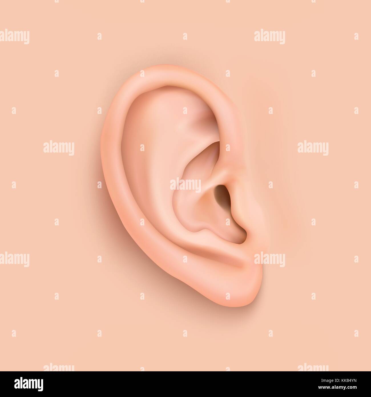 Vector Hintergrund mit realistischen menschlichen Ohr Nahaufnahme ...