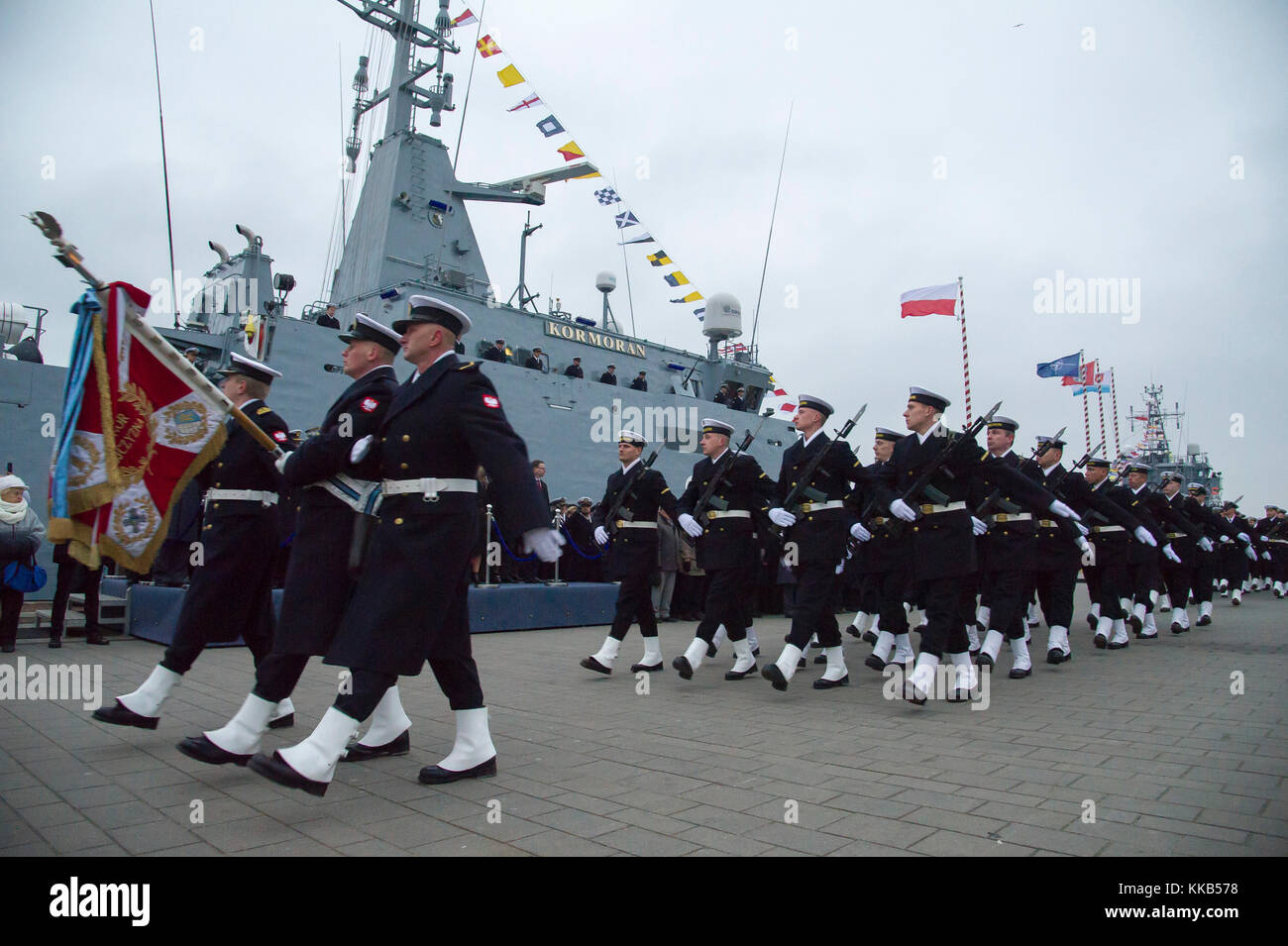Kormoran Ii Stockfotos und -bilder Kaufen - Alamy