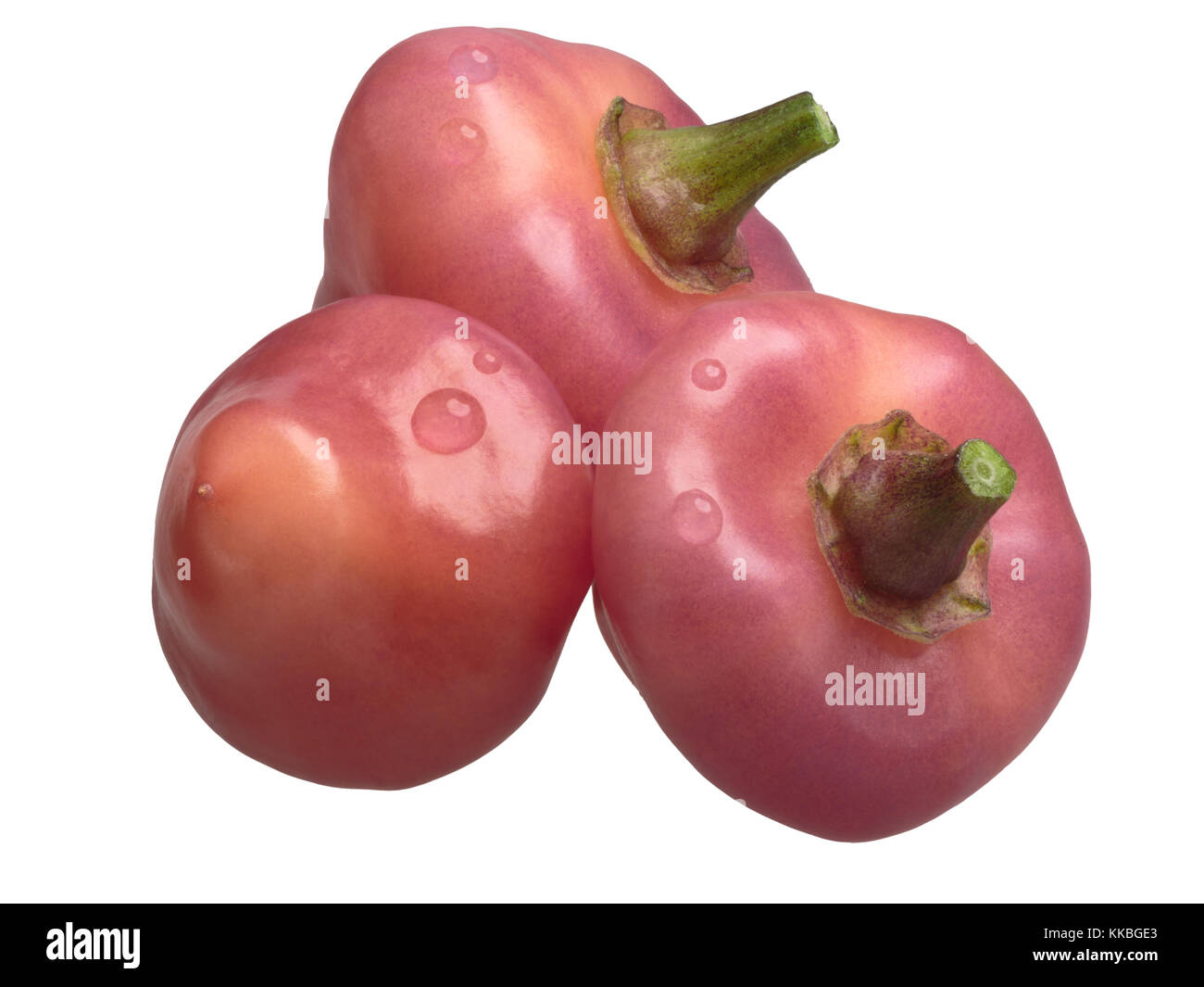 Cheiro roxa -Fotos und -Bildmaterial in hoher Auflösung – Alamy