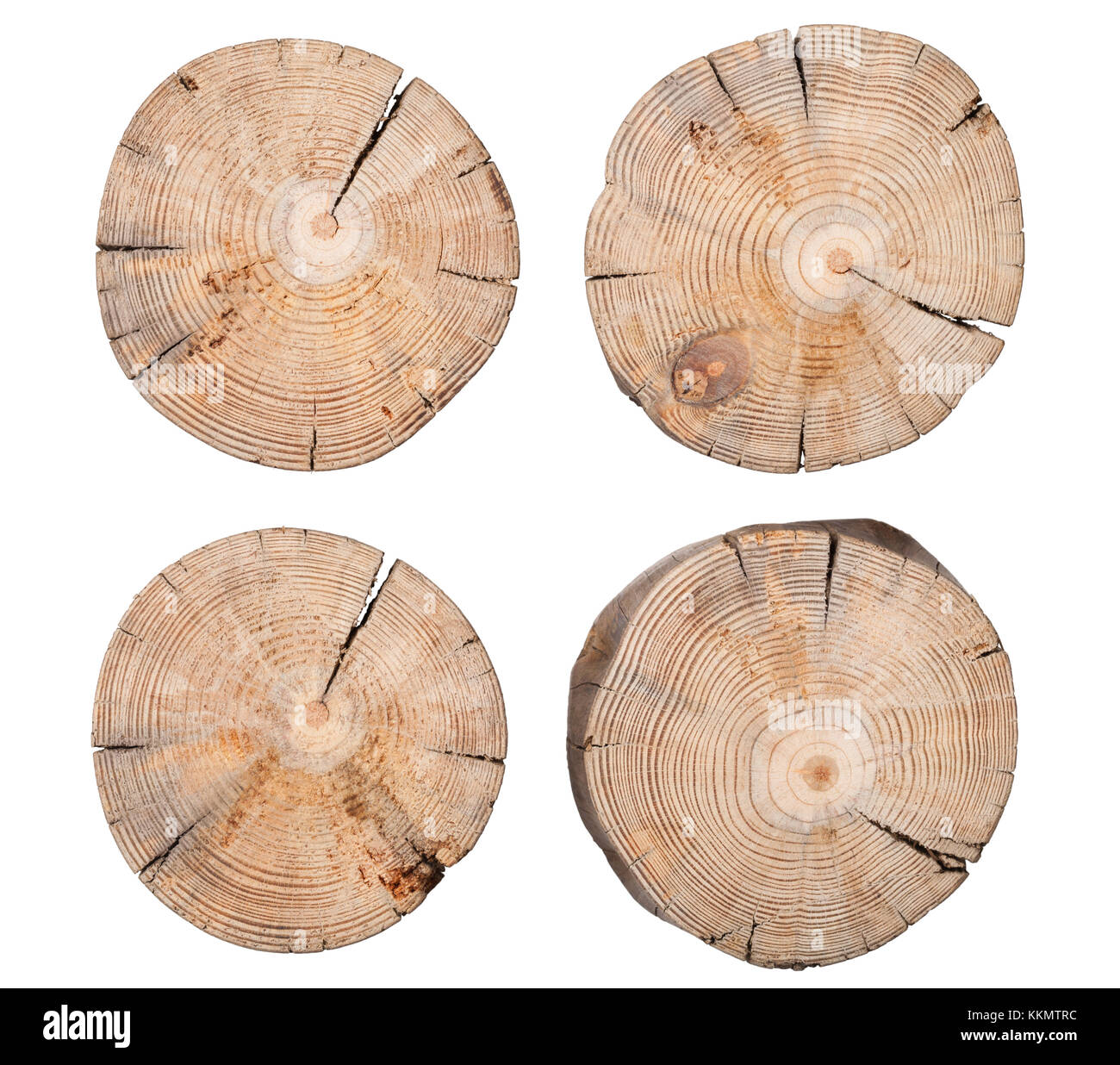Holz- stumpf auf weißem Hintergrund. top View Stockfotografie - Alamy
