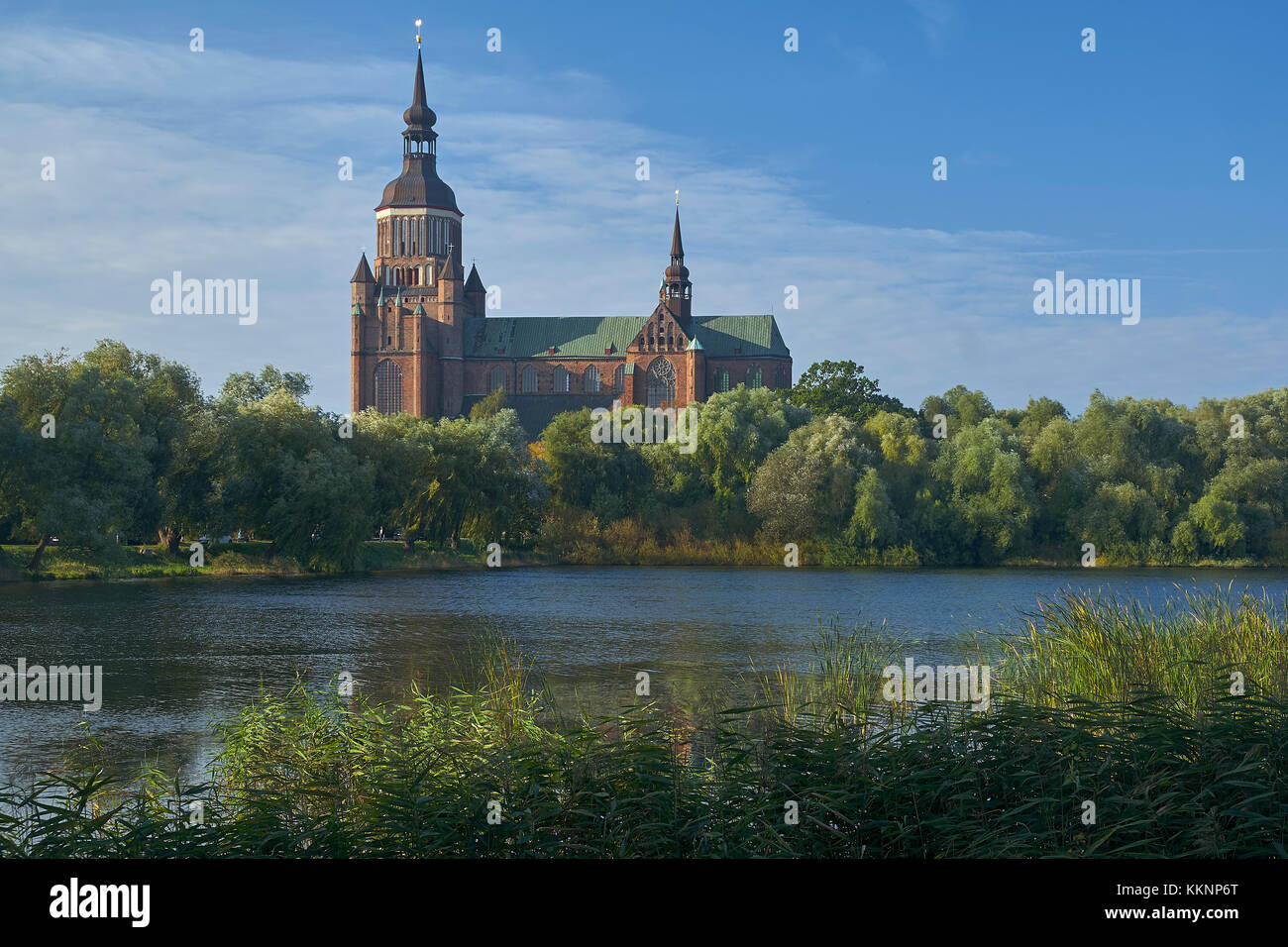 Frankteich Teich mit Blick auf die Marys Kirche, Stralsund, Mecklenburg ...