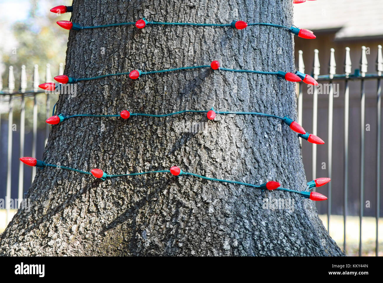 Zaun Um Baum Stockfotos und -bilder Kaufen - Alamy
