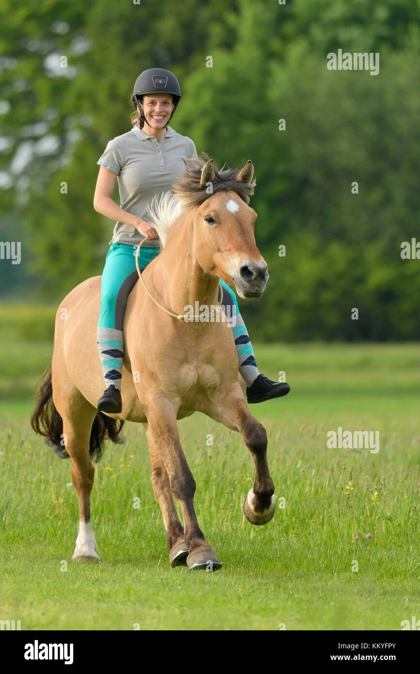 Reiten ohne Sattel mit einem Halsring galoppieren Stockfotografie - Alamy