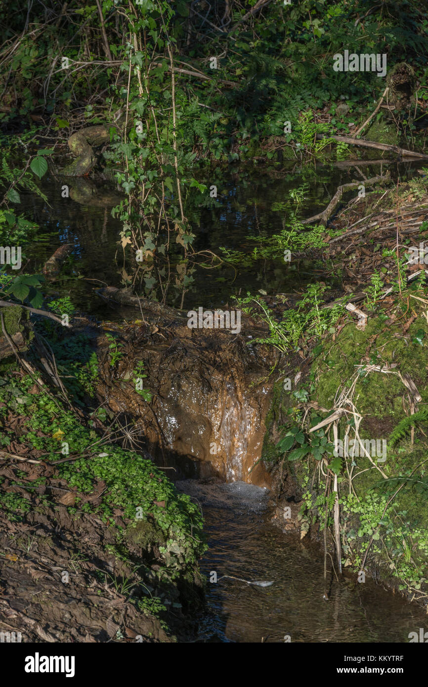 Source of water -Fotos und -Bildmaterial in hoher Auflösung – Alamy