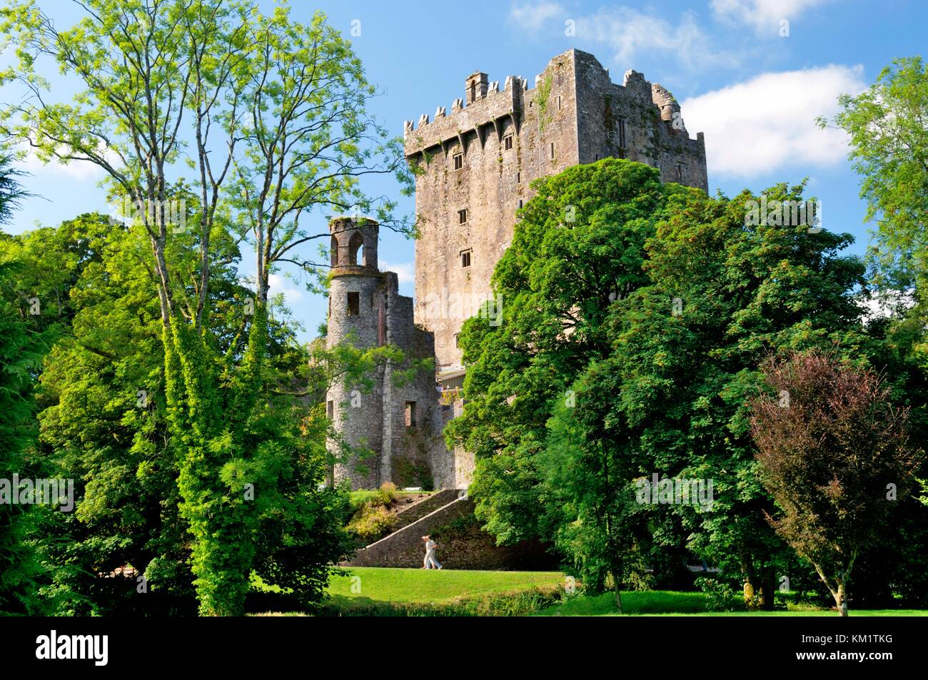 Blarney Stone Stockfotos und -bilder Kaufen - Alamy