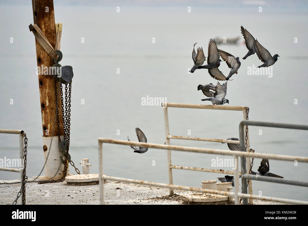 Sony fe 24 70gm sony fe 70 200gm -Fotos und -Bildmaterial in hoher ...