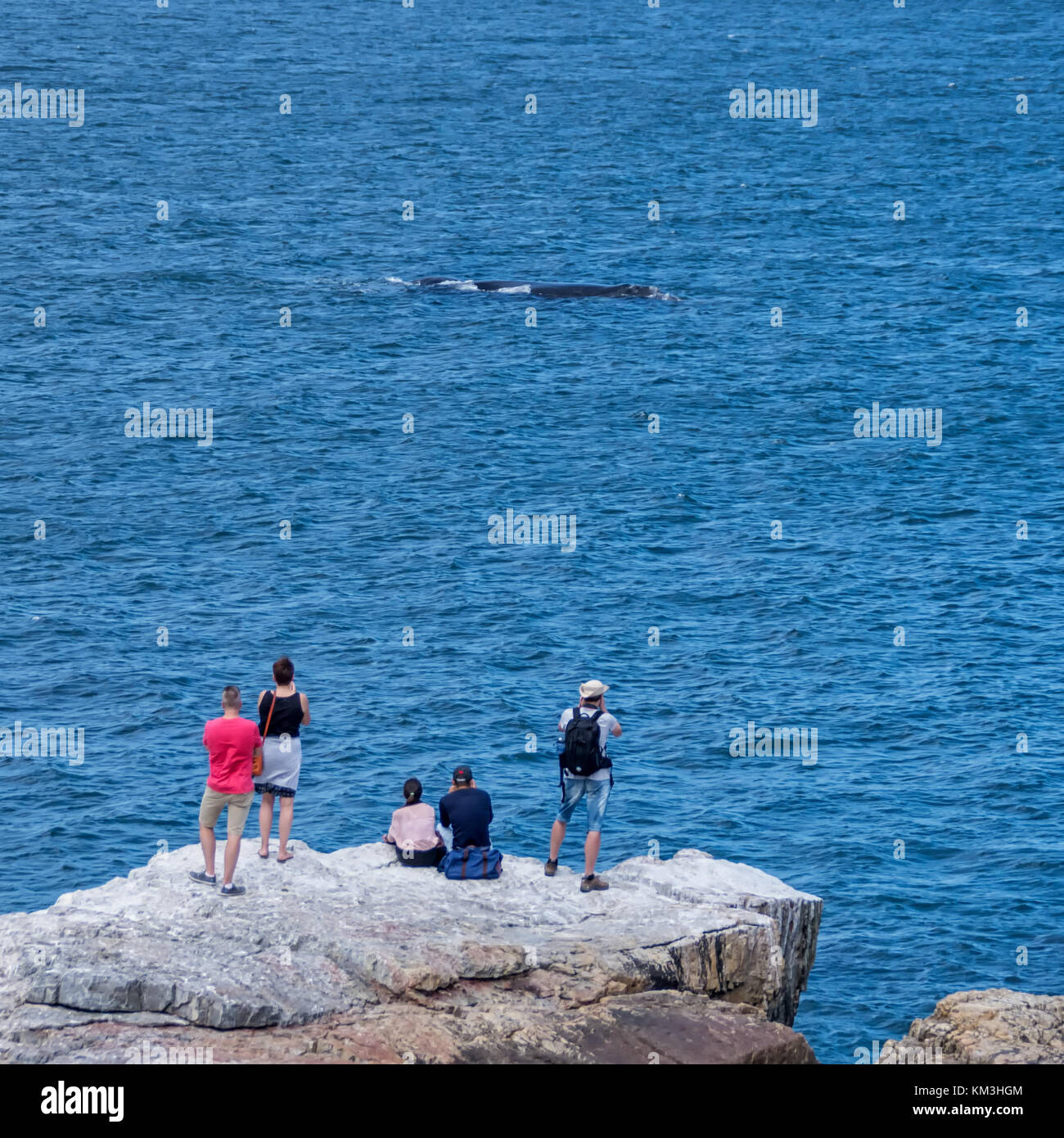 Hermanus whale watching -Fotos und -Bildmaterial in hoher Auflösung ...