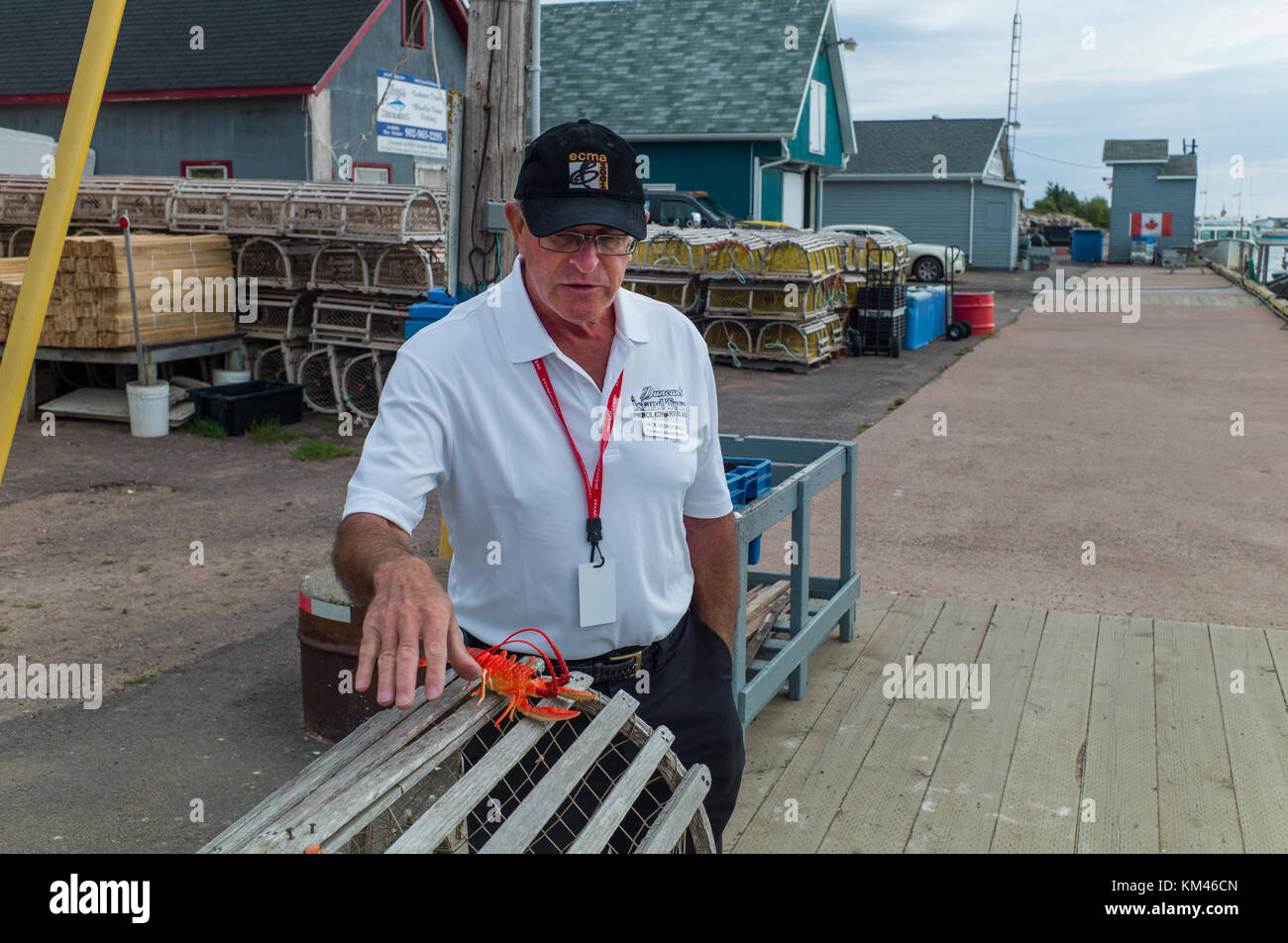 Silver Seas Cruise Ship Stop Charlottetown Prince Edward Island. Das ...