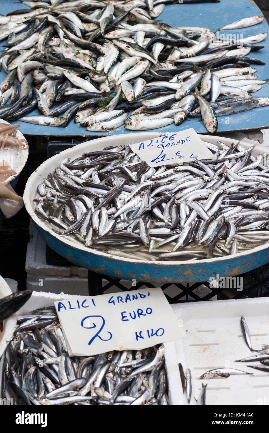 Fisch steht im Open Market der historischen Straßen von Neapel in ...
